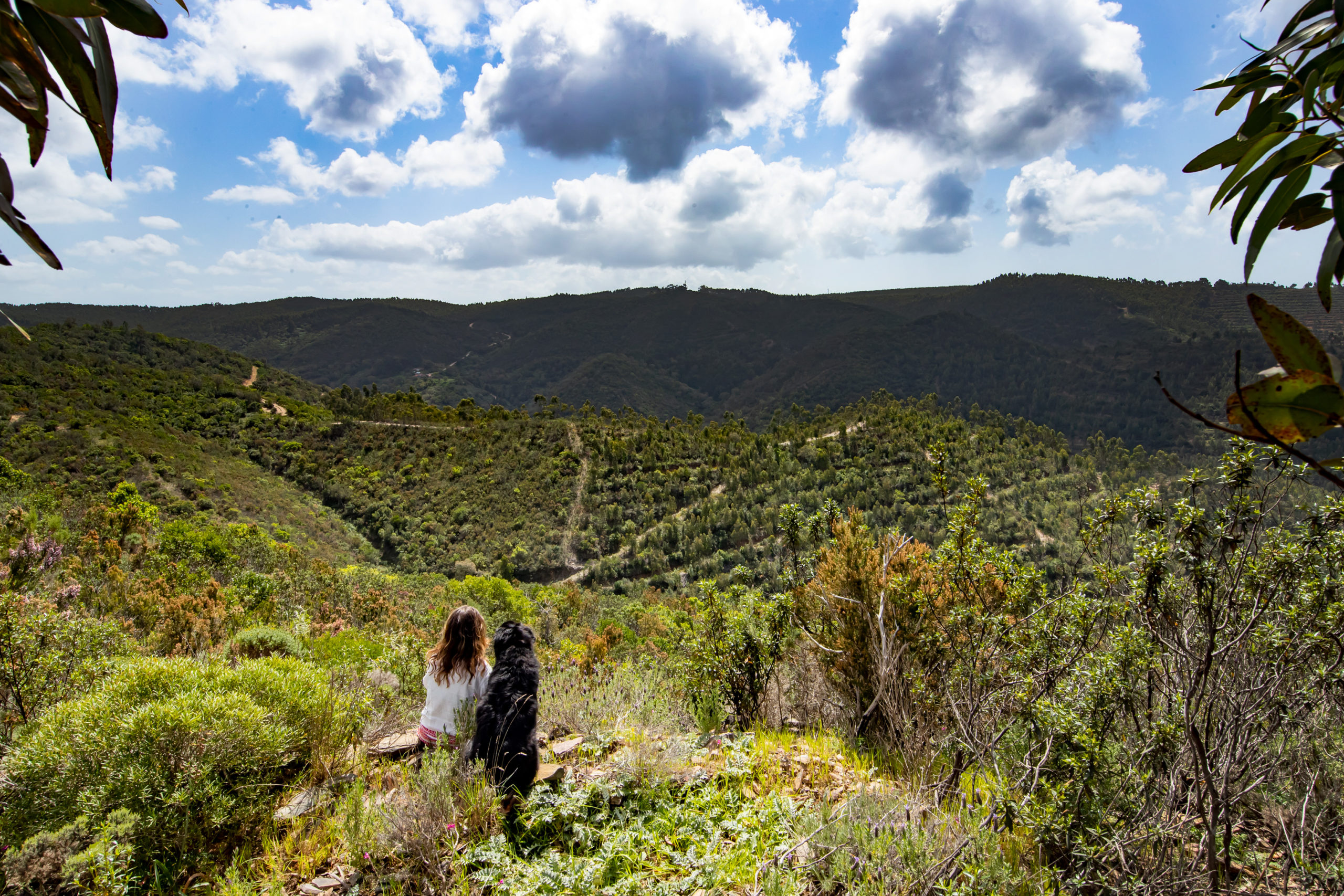 Nature Quest, reconnect with your true nature in Portugal | Junglebirds