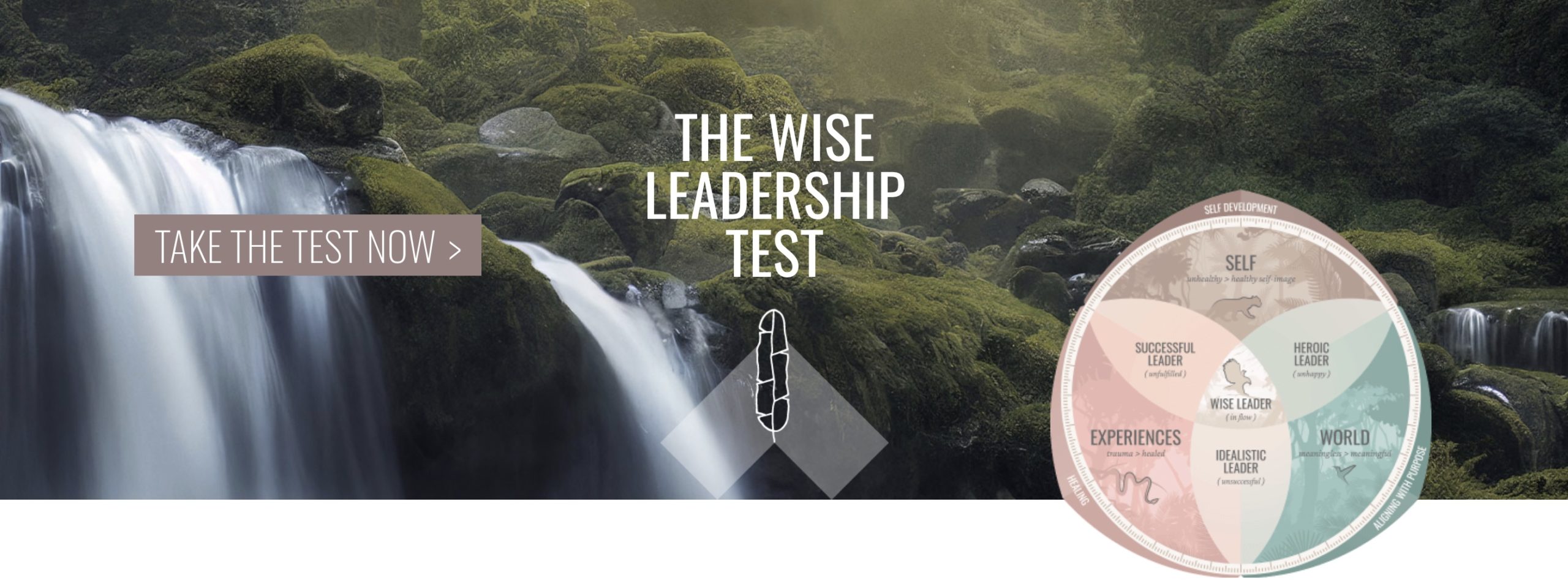 The Wise Leadership Test | Junglebirds